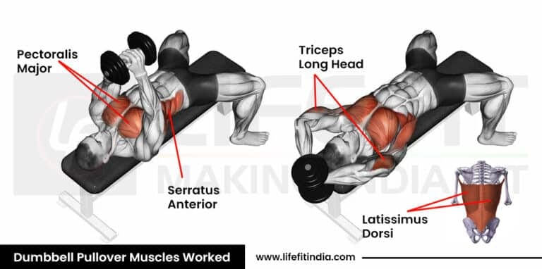 Dumbbell Pullover Exercise: Form, Muscles, Benefits & Mistakes